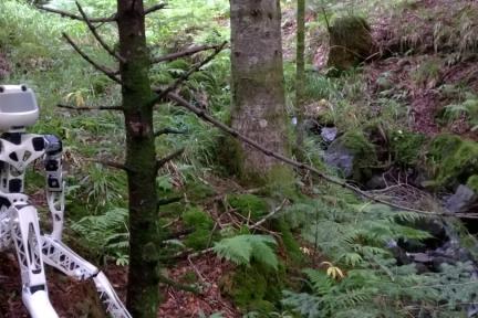 POPPY Humanoid Robot | 3DEXPERIENCE Edu – Dassault Systèmes