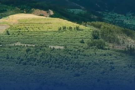 Cementos Argos: Achieving Sustainable Development | Customer Story ...