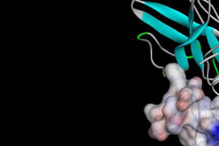 Macromolecule Design and Analysis | BIOVIA - Dassault Systèmes