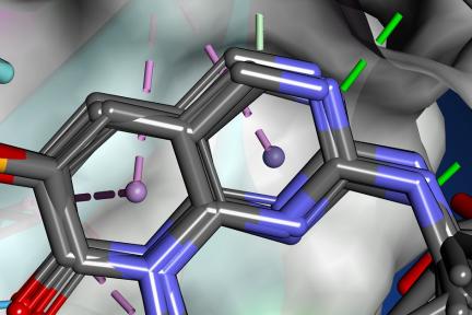 BIOVIA Discovery Studio Visualizer | Dassault Systèmes