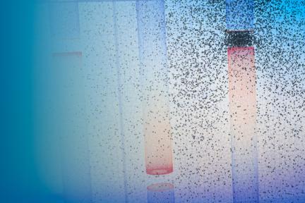 Spark3D - RF breakdown Analysis | SIMULIA - Dassault Systèmes