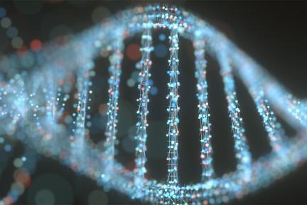 BIOVIA Pipeline Pilot Biology Collections | Dassault Systèmes