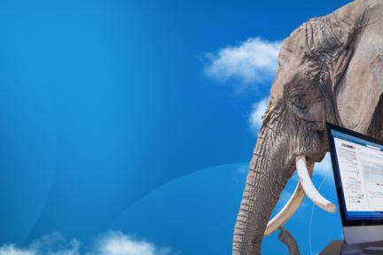 how to draw elephant in solidworks