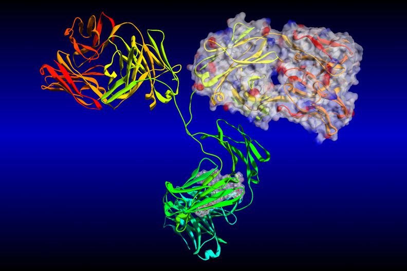 Visualization - BIOVIA - Dassault Systèmes® Visualization - BIOVIA - Dassault Systèmes®